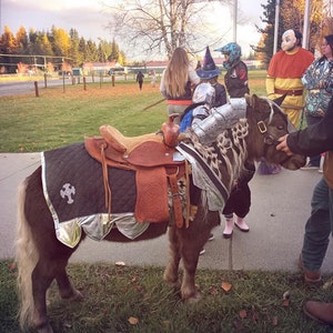 Dragon Slayer Horse Chanfron Face Armor in Silver Medieval | Etsy