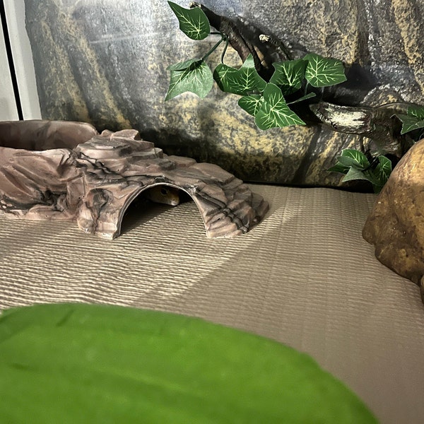 Beige Reptile Tank Liner - Etsy