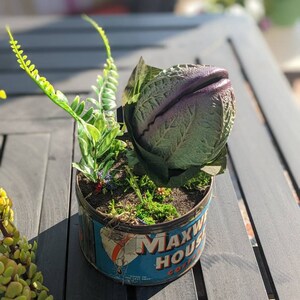 Deluxe Baby Audrey II Replica Prop Display From little - Etsy UK