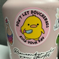 Nurse Practitioner Sticker, Caduceus Sticker, Holographic Sticker, NP ...