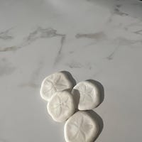 Asst Sea Shell Mix-1/2 Pound-beach Wedding Decor-sea Shells Bulk-bag of ...