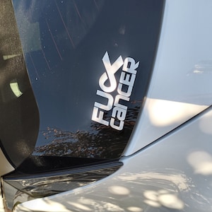 TAFFR Print Thats a Ford Fckin Ranger Funny Truck Vinyl Decal - Etsy