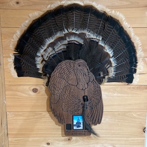 Personalized Double Wide Pheasant Tail Mount Plaque, Tail Feather ...