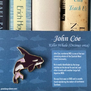 Shark Washi Tape, 10 Metres, 1.5cm, Stationary, Planner - Etsy