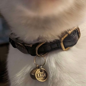 Brass Dog Tag, Personalized Brass Pet ID Tag, Custom Cat Tag, Unique ...
