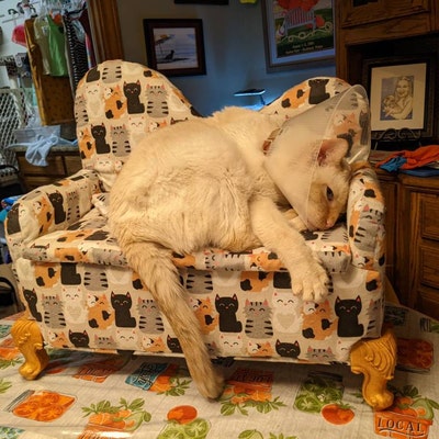 Tissue Box Couch Pattern PDF - Etsy