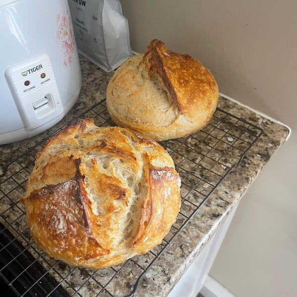 115yr Old Organic French Sourdough Starter - Liquid & Very Active ...