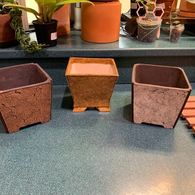 Uneven Low Pot With Texture. Special Lithops - Etsy