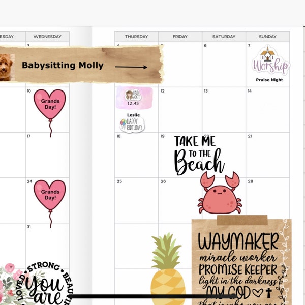 Onenote Digital Planner Templates Finance Template Finance Inserts ...