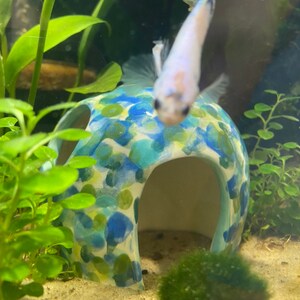 Small Fish Hide MADE TO ORDER Betta Fish Cave Small | Etsy