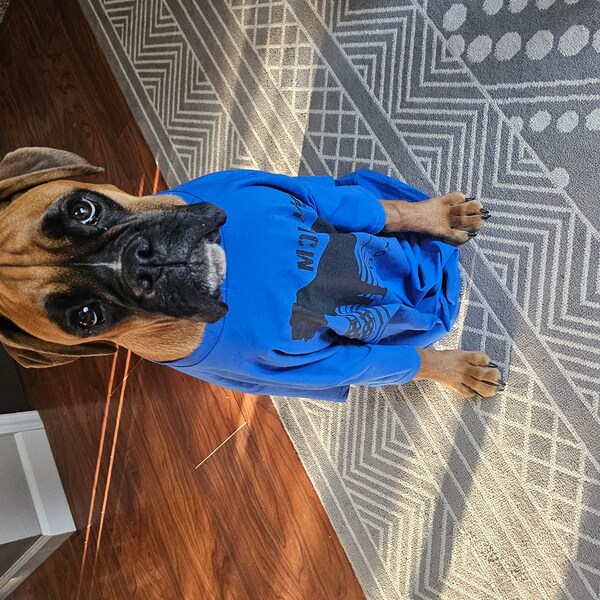 Back to School Chip Bag Labels, Printable and Customizable, School ...