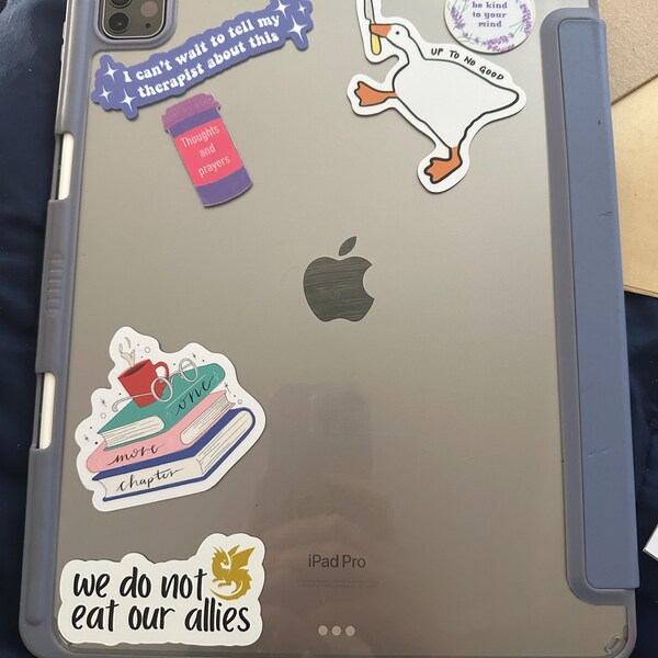 Down Bad Sticker Crying at the Gym TTPD Sticker Tortured Poets Album ...