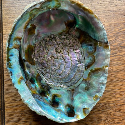 Wooden Shell Tripod Display Stand Hand Carved Base for Abalone Shell ...