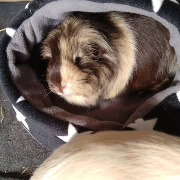 Make Your Own Guinea Pig Slipper Snug: Digital Sewing Pattern and ...