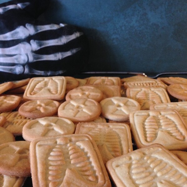 Chest X-ray Cookie Cutter – Rib Cage Shape for Radiology, Medical ...