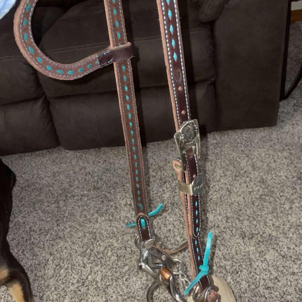 Custom Handmade PINK Bridle Leather Buckstitched Split Ear Headstall - Etsy