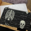 Anatomy Pencil Case, School Supplies, Skeleton Pencil Case, Back to ...