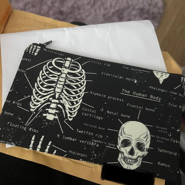 Anatomy Pencil Case, School Supplies, Skeleton Pencil Case, Back to ...