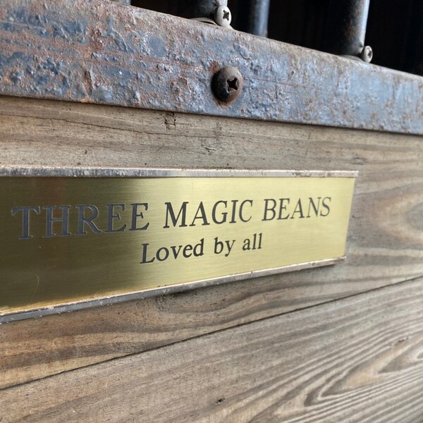 Solid Brass Stall Board or Tack Trunk Name Plate- 2" X 8"- Rectangular ...