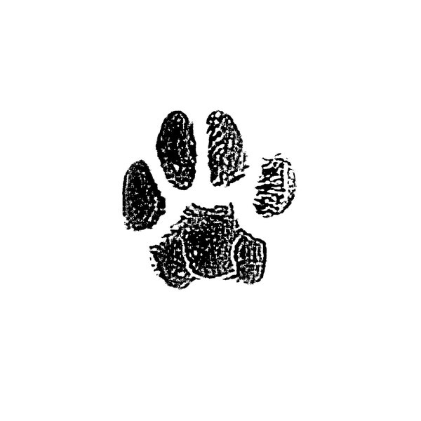 Custom Pet Paw Print Rendering: Memorial Keepsake Wall Art (digital ...