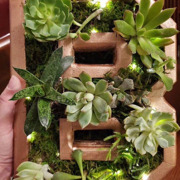 A-Z 10”letters & 0-9 Numbers Succulent Vertical Garden: Redwood DIY Kit ...