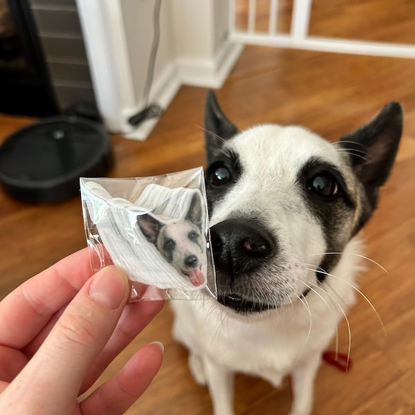 Pet Portrait Cut-out Wafer Drink Topper, Cocktail Topper, Custom Edible ...