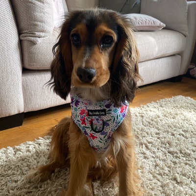 The Crafty Dog Co Can't Stop the Tealin' Rope Lead Teal - Etsy