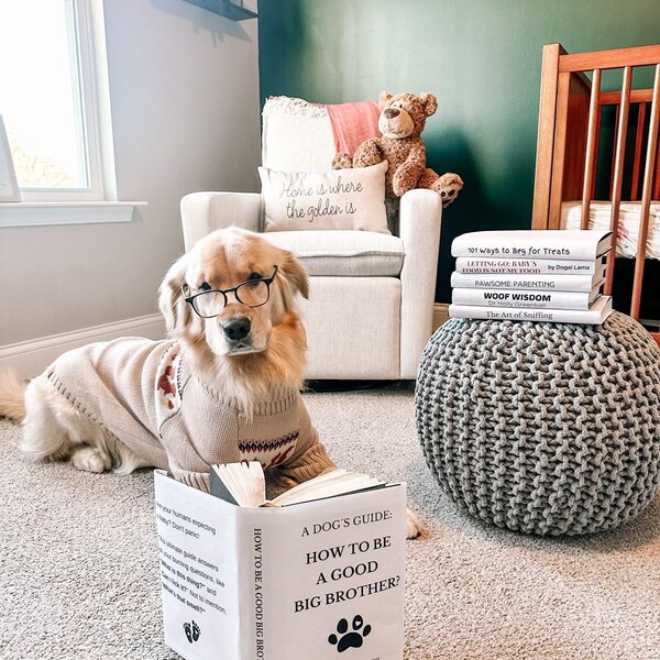 Boy or Girl Gender Reveal Maze Game, Boho Gender Reveal Labyrinth ...