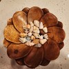 Small Hawaiian Cone Shells Handpicked From Oahu Beaches for Jewelry ...