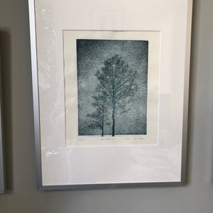 Oak Tree, Etching and Aquatint - Etsy