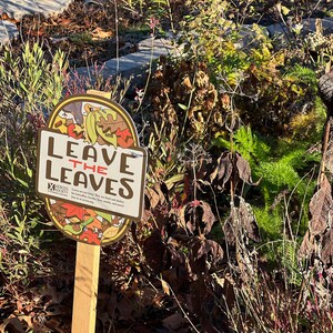 You Got Grit Greeting Card - Etsy