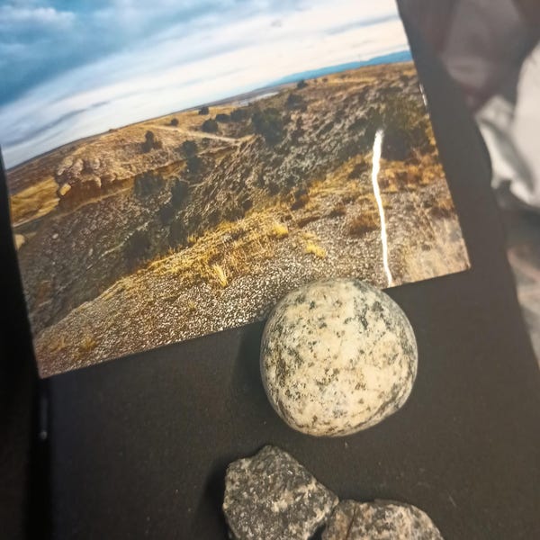 Bulk Colorado Rocky Mountain Raw Diorite 1.5”-3.5” 1lb & .5lb Bulk ...