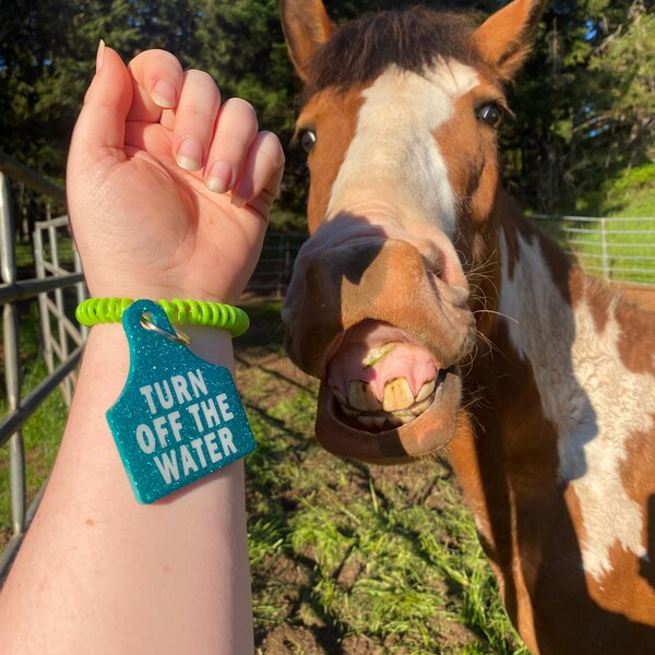 Sunflower Tooled Bit Guards - Etsy