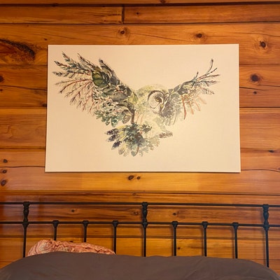 Flying Owl With Trees Leaves Forest Double Exposure Nature Animal Bird ...