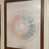 Terpene Flavor Wheel Diagram, Chart of Terpene Aroma Print, Cannabis ...