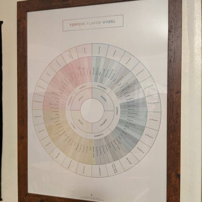Terpene Flavor Wheel Diagram, Chart of Terpene Aroma Print, Cannabis ...