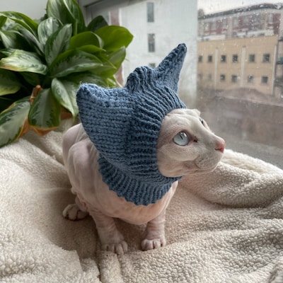 Yellow Cat Hat Hand Knit Sphynx Cat Accessories Pet Winter Beanie for ...