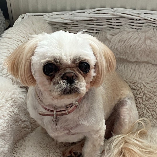 Personalised Handmade Silver-25th Wedding Anniversary Heart Card - Etsy UK