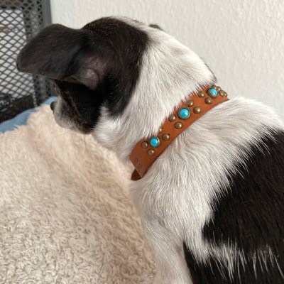 Sundance Shearling Dog Jacket so Boho Chic in Black - Etsy