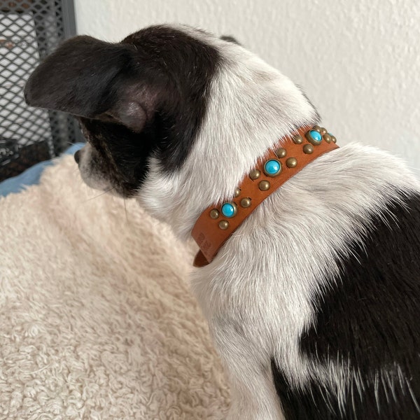 Sundance Shearling Dog Jacket - so Boho Chic in Black! - Etsy