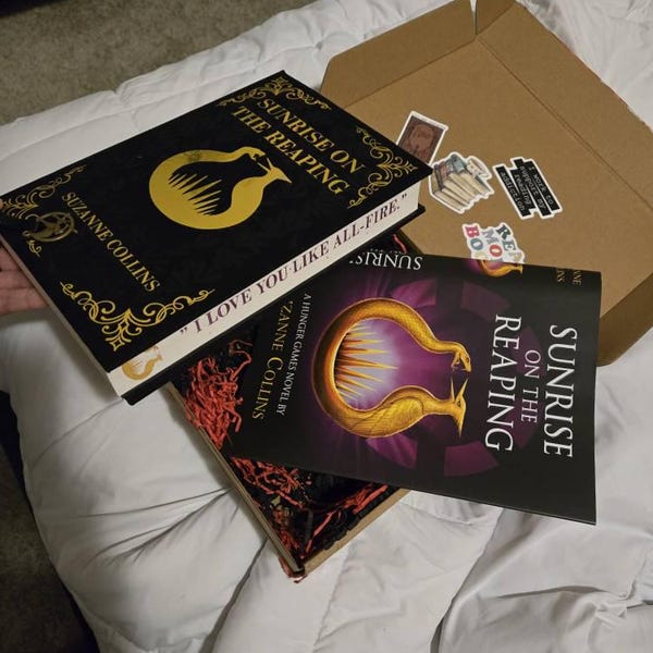 Fearless by Lauren Roberts Hardback With Sprayed Edge - Booktok ...