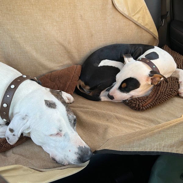 Sundance Shearling Dog Jacket - so Boho Chic in Black! - Etsy