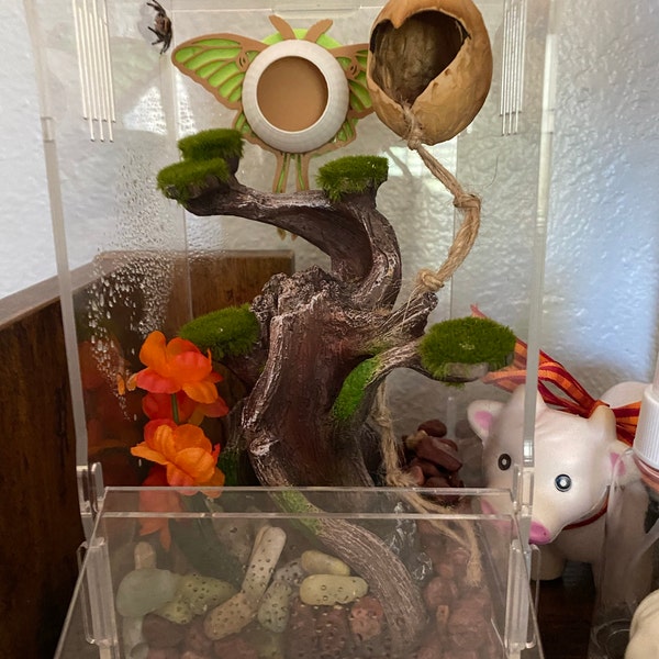 Luna Moth Spider Hide - Etsy