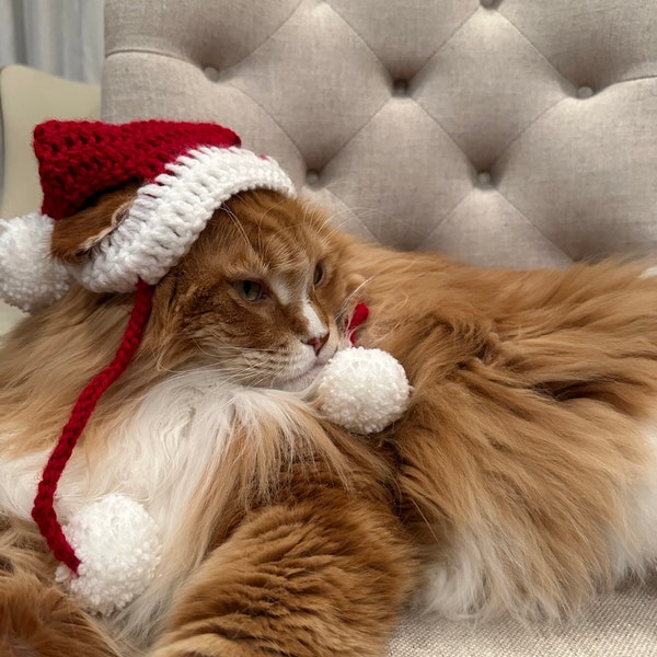 Santa Hat for Cats, Cat Santa Hat, Holiday Cat Hat, Christmas Hat for ...