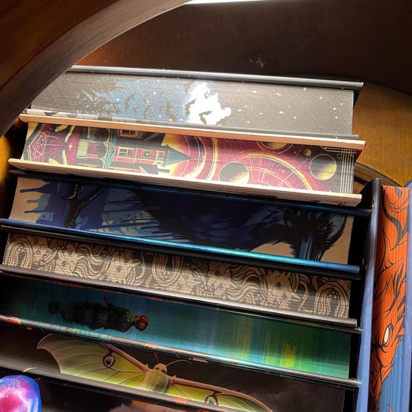 Beautiful Disaster by Jamie Mcguire Special Edition With Butterfly ...