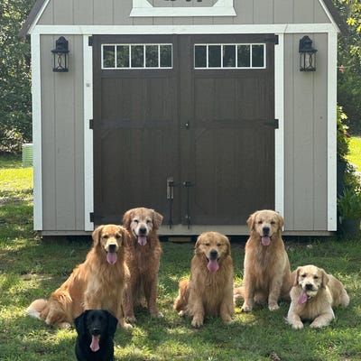 Rottweiler Metal Wall Art, Rottweiler Metal Sign, Rottweiler Owner Gift ...