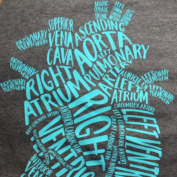 Heart Typography Gross Anatomy of the Heart RN Nurse Doctor ...