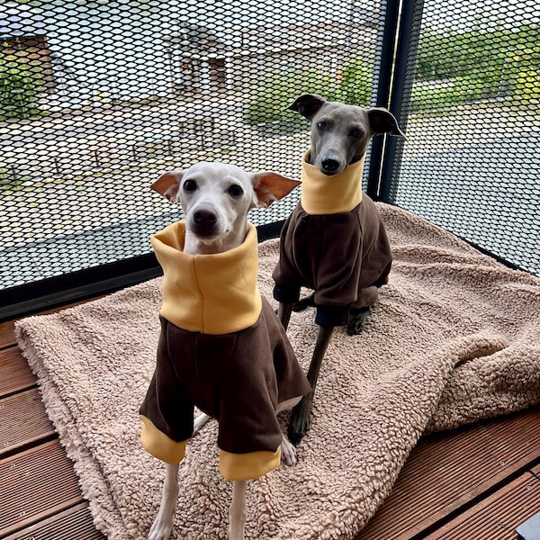 Sewing Pattern for Italian Greyhound Coat / Jacket / Waterproof ...