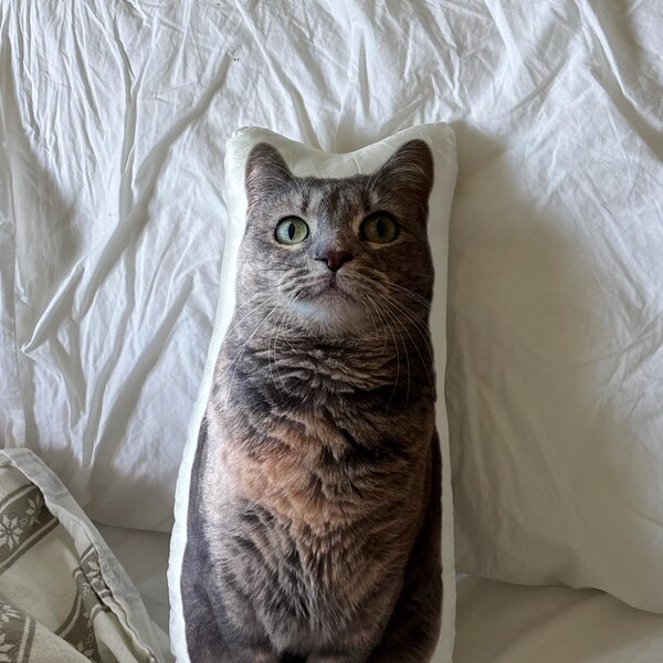 Custom Cat-shaped Throw Pillow, Personalized Cat Cushion, Custom Pet ...