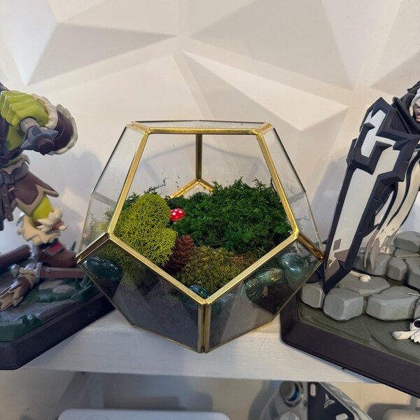 THE Kit - DIY Terrarium Kit - All You Need is the Container - Etsy